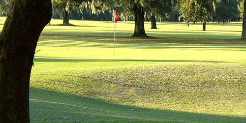 Palatka Golf Club - Golf in Palatka, California